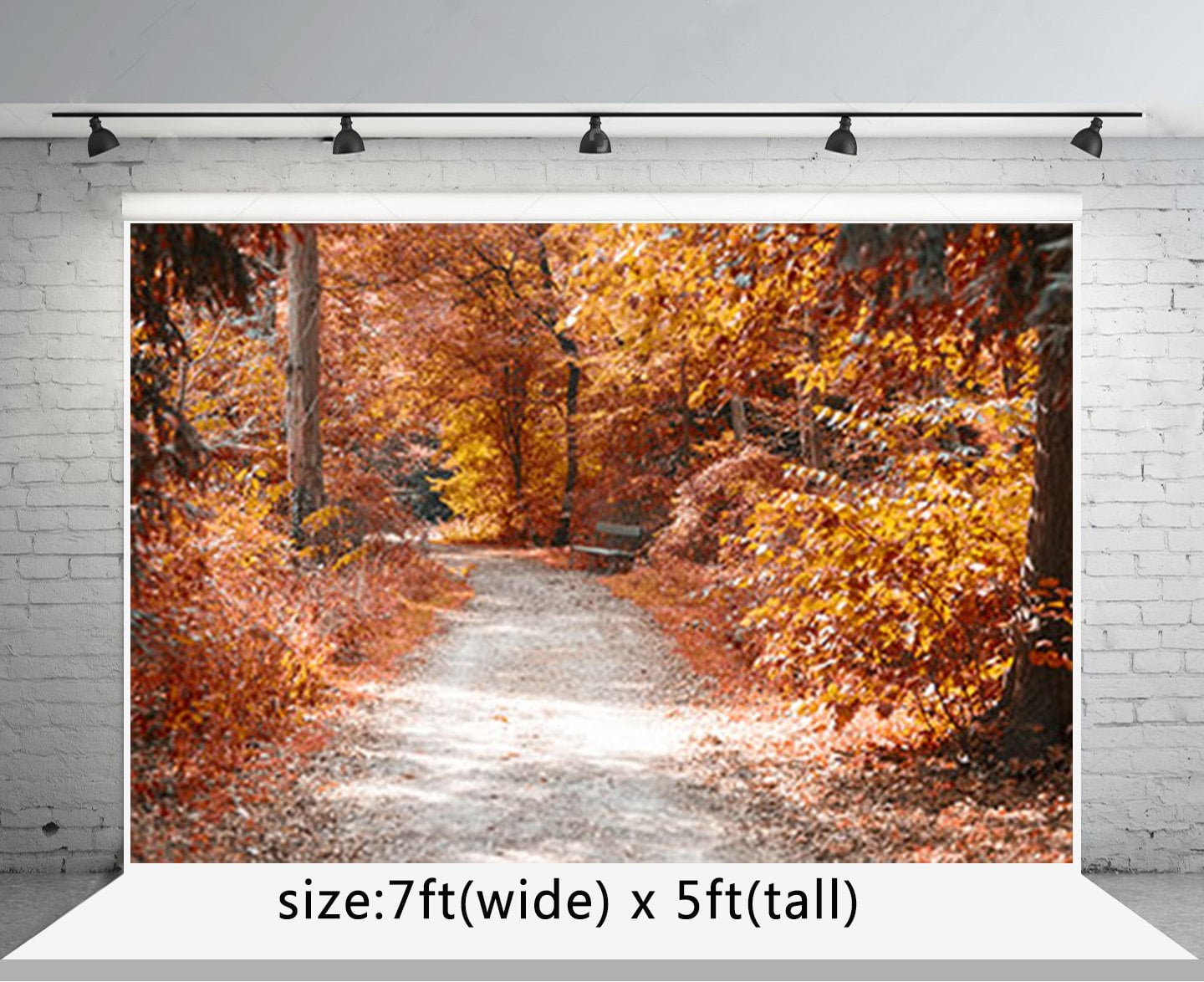 HelloDecor 7x5ft Nature Scenery Photo Backgrounds Fall Maple Tree ...