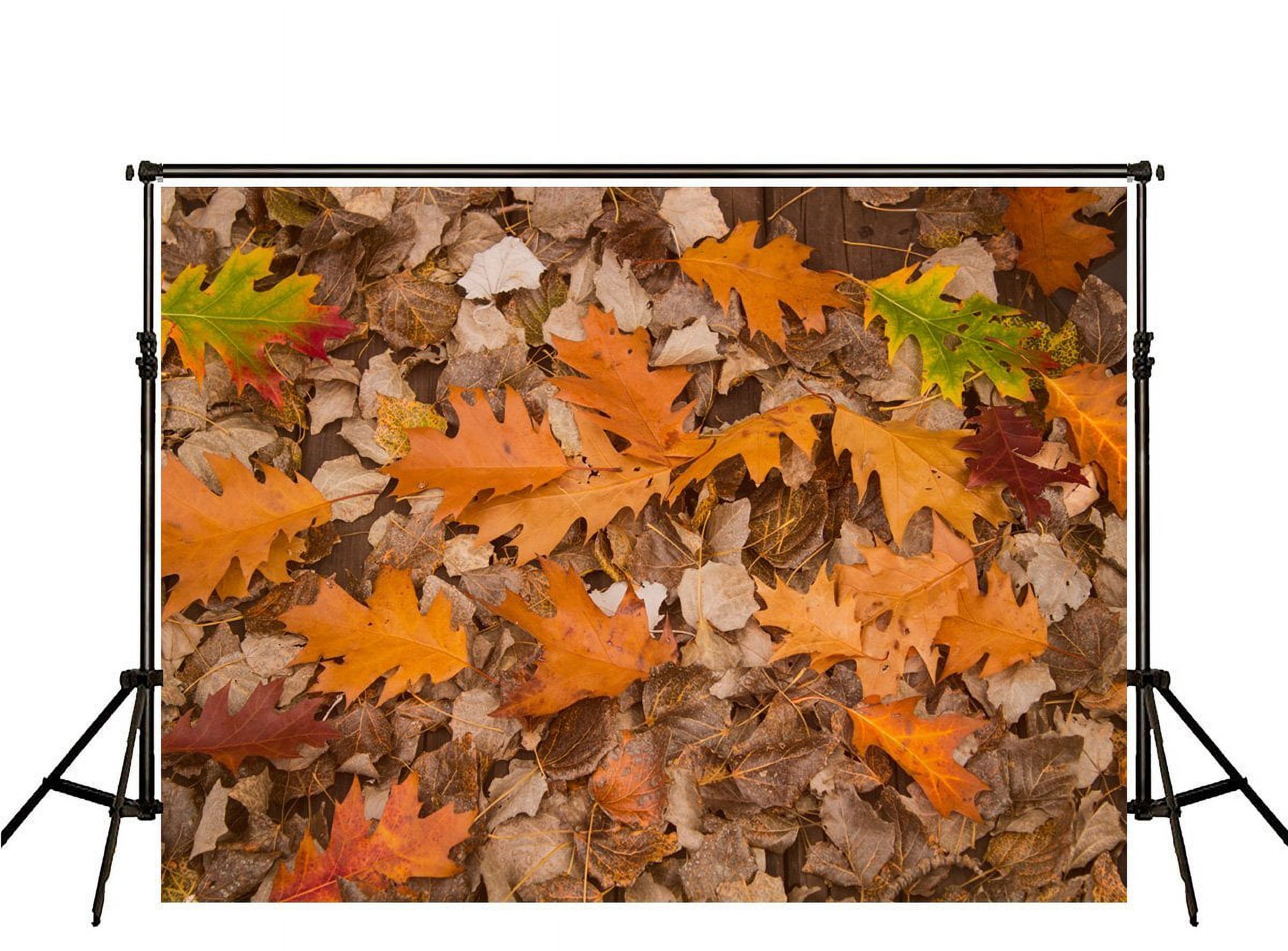 HelloDecor 7x5ft Nature Yellow leaf Backdrops Photography Wedding or ...