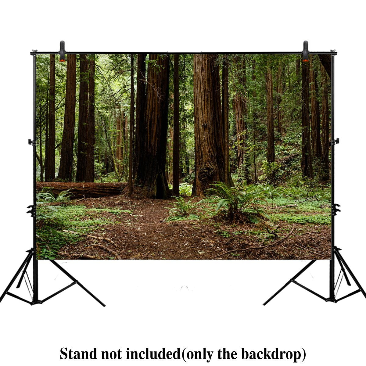 HelloDecor 7x5ft Nature landscape Forest redwood trees Photography ...