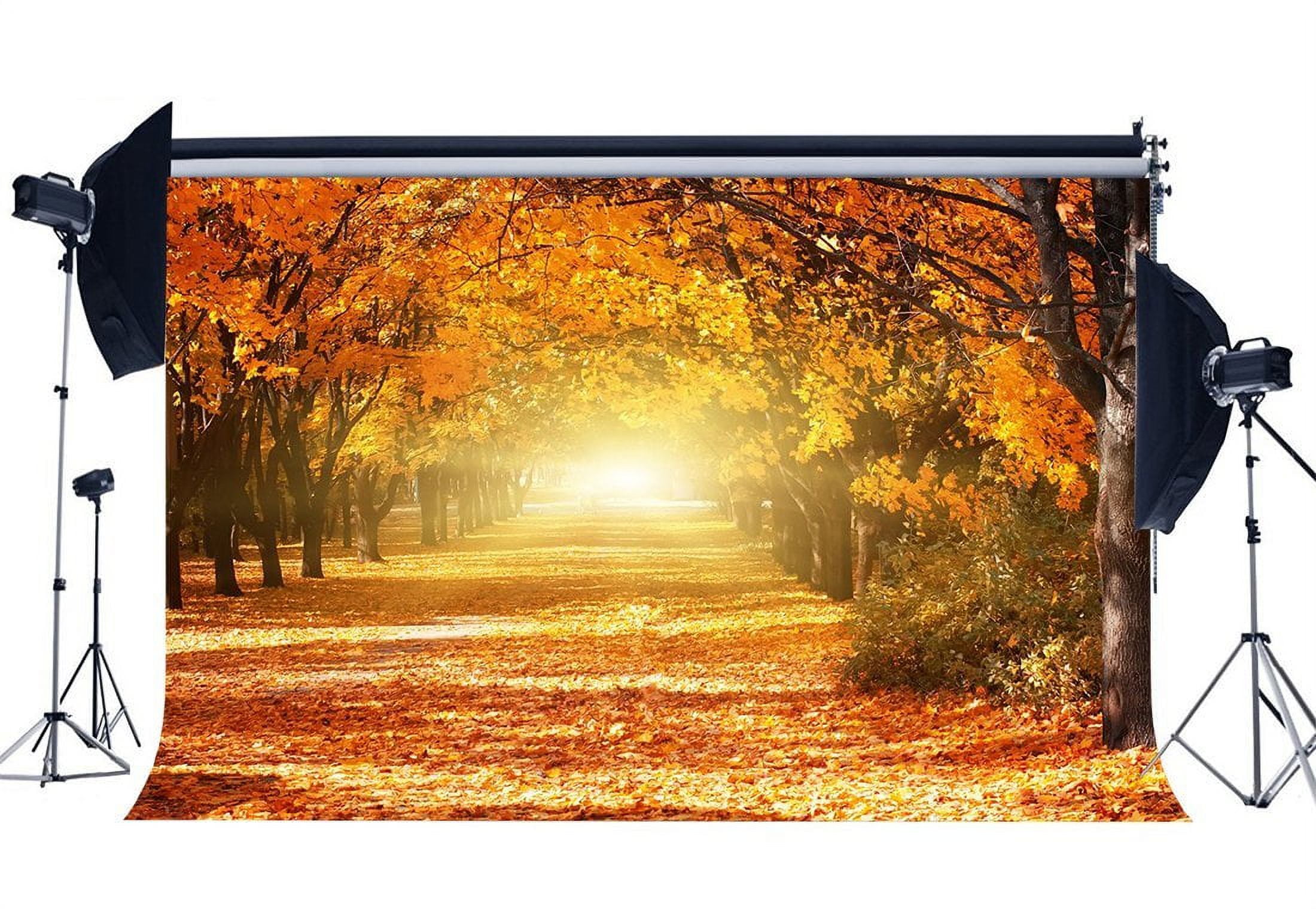 HelloDecor 7x5ft Photography Backdrop Autumn Golden Leaves Rural Jungle ...