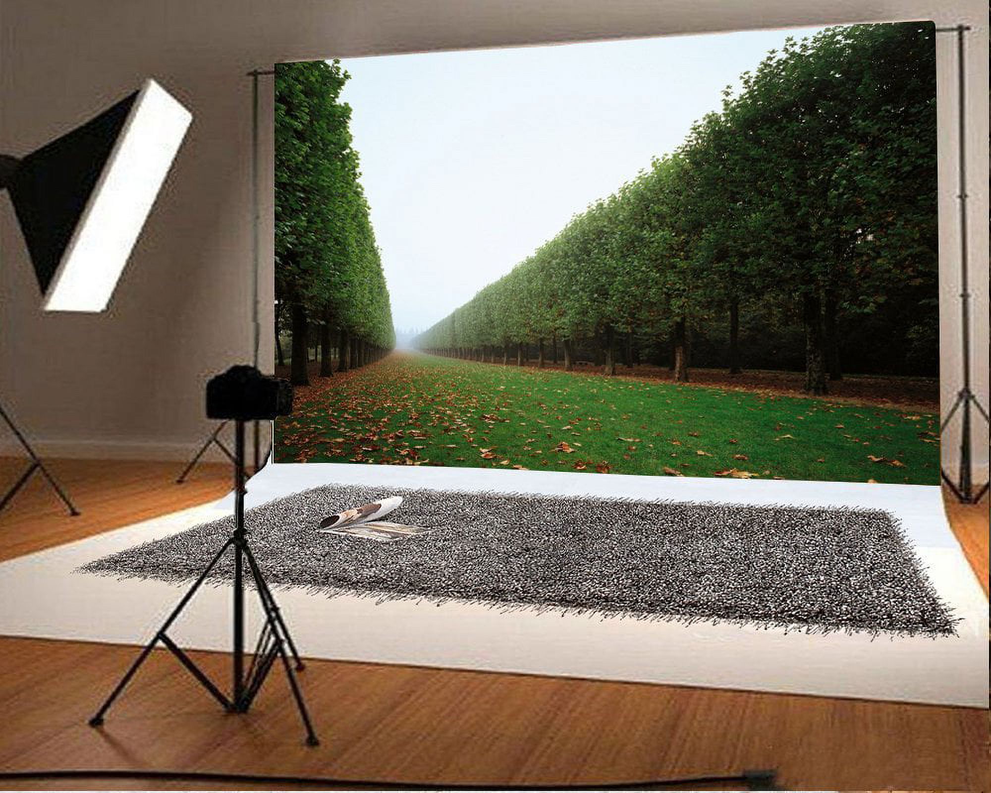 HelloDecor 7x5ft Photography Backdrop Beautiful Outdoor View And Road ...