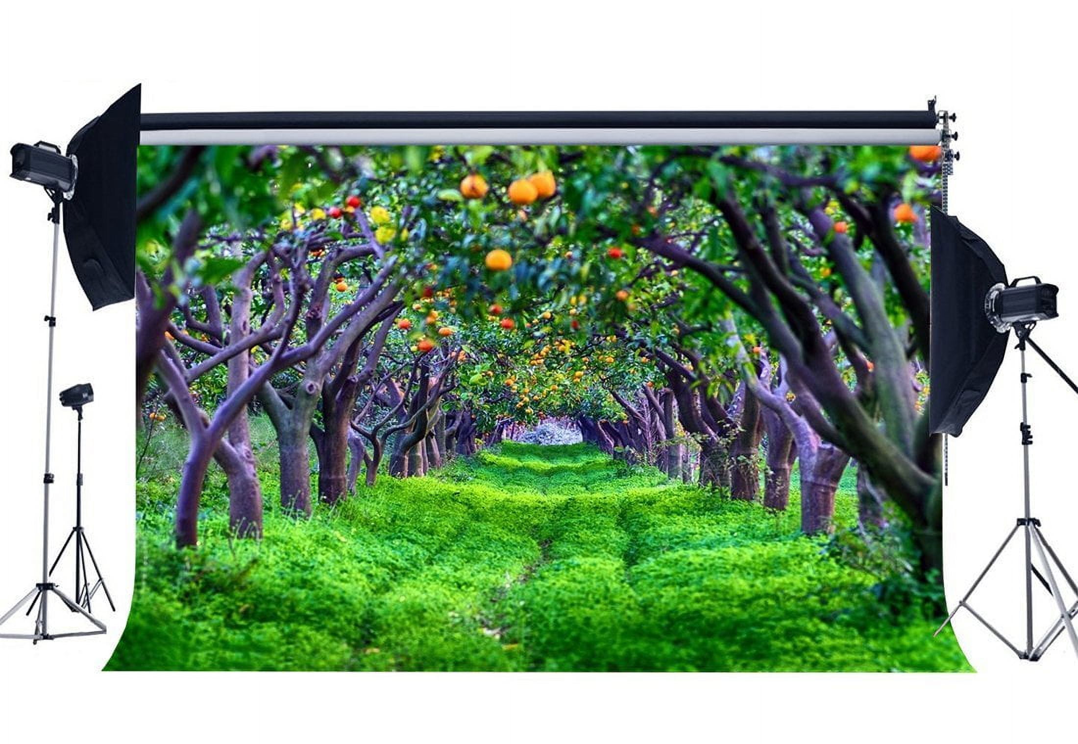 HelloDecor 7x5ft Photography Backdrop Rustic Farmland Fruits Tree Grass ...