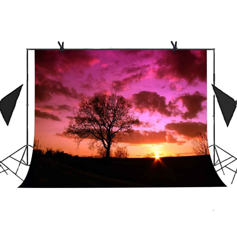 HelloDecor 7x5ft Sunset Landscape Backdrop Sunset Red Sky Tree Pavement ...