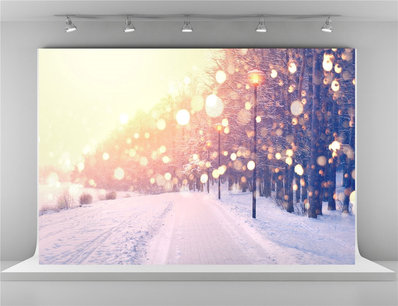 HelloDecor 7x5ft Sunshine Backgrounds for Photography Winter Frozen ...