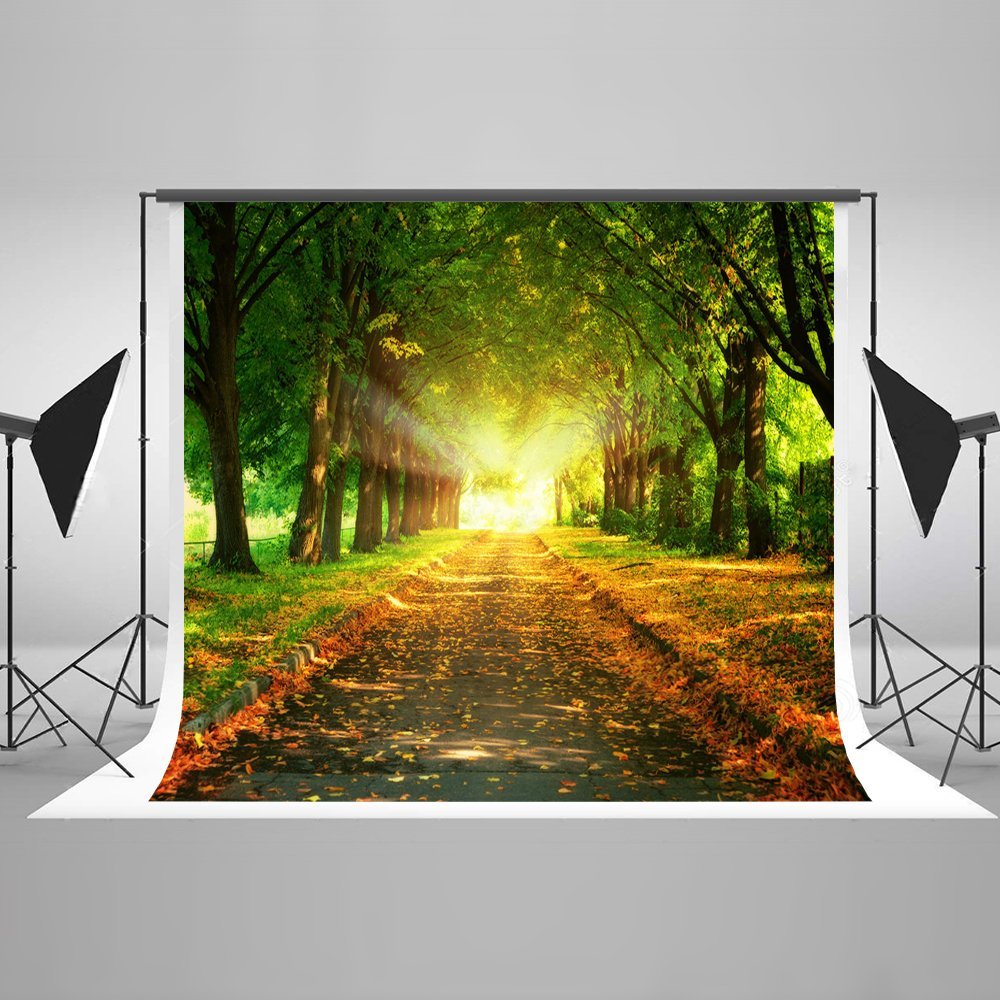 HelloDecor 7x5ft Tree Photography Backdrop Green Trees Leaves Road ...