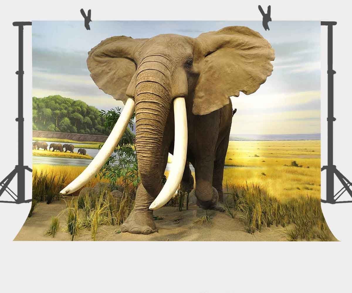 HelloDecor Polyester Fabric Background 7x5ft Wild Elephants Photography ...