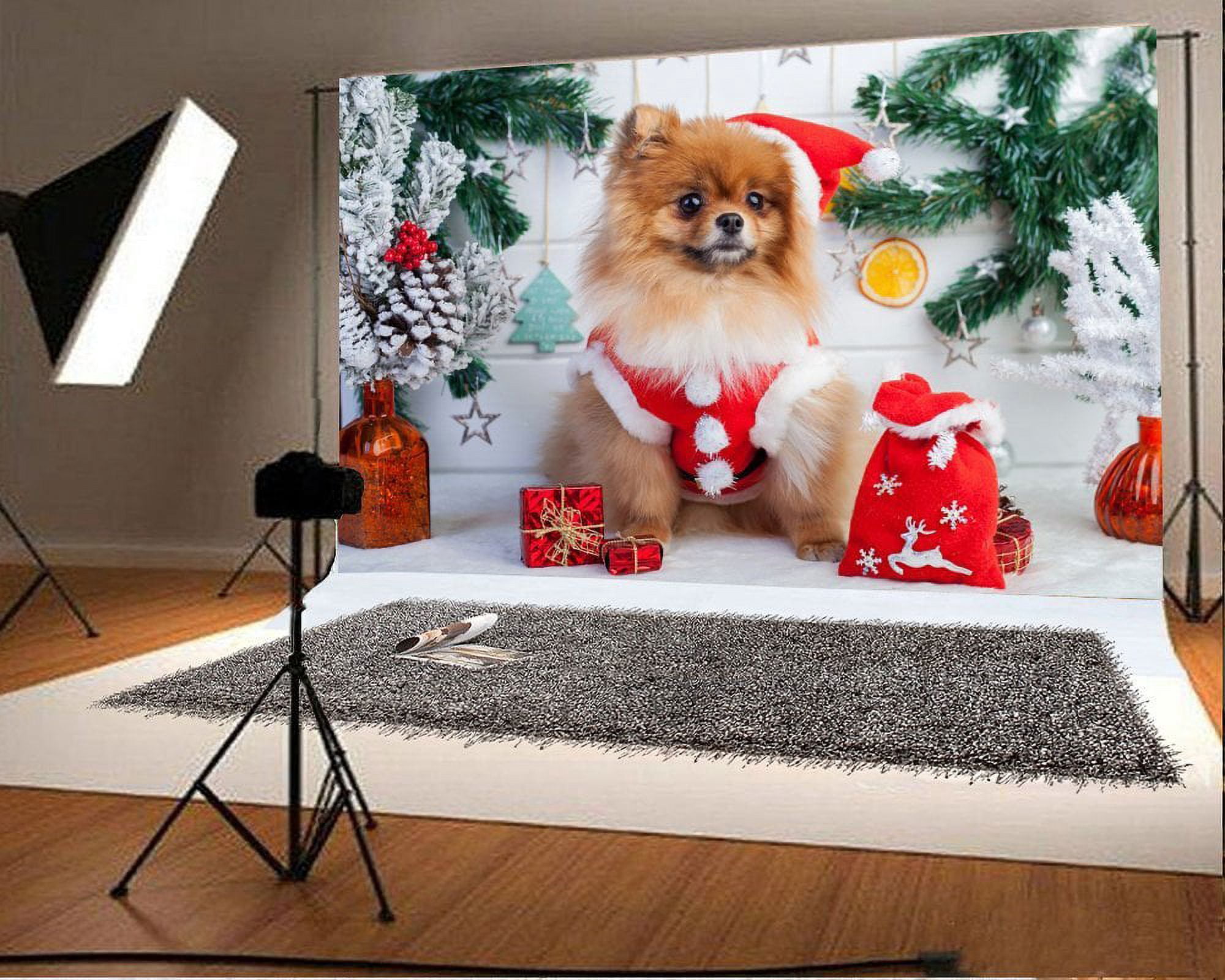 HelloDecor Christmas Backdrop 7x5ft Photography Backdrop Pomeranian ...
