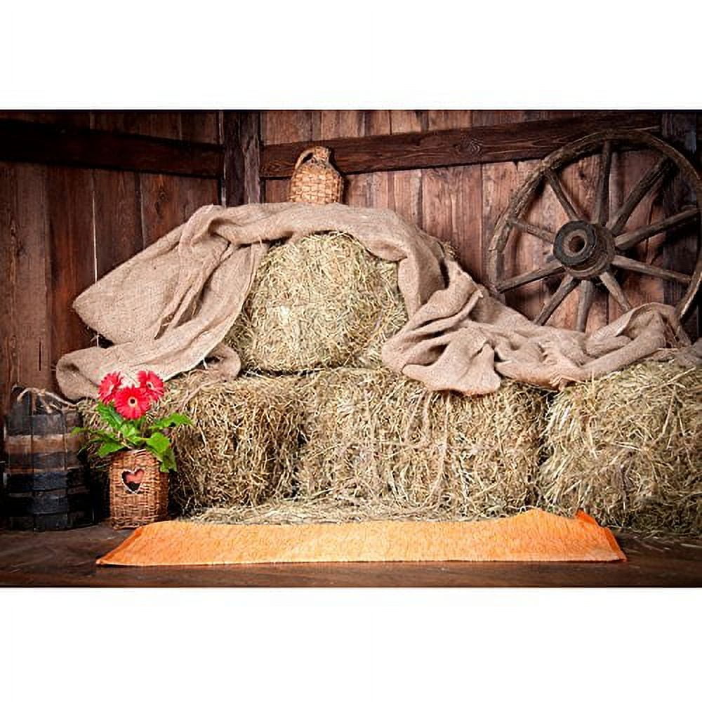 HelloDecor F5x7ft arm Haystack Backdrop Backdrop Photography Backdrops ...