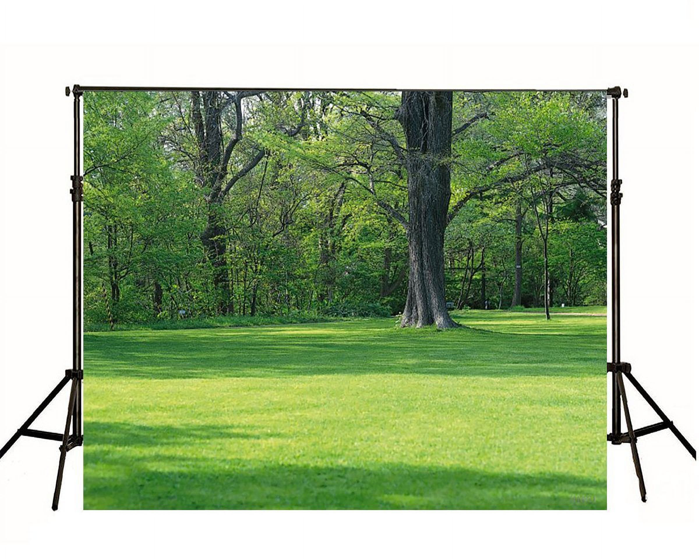HelloDecor Lawn Photography Background Natural Scenery Photography ...