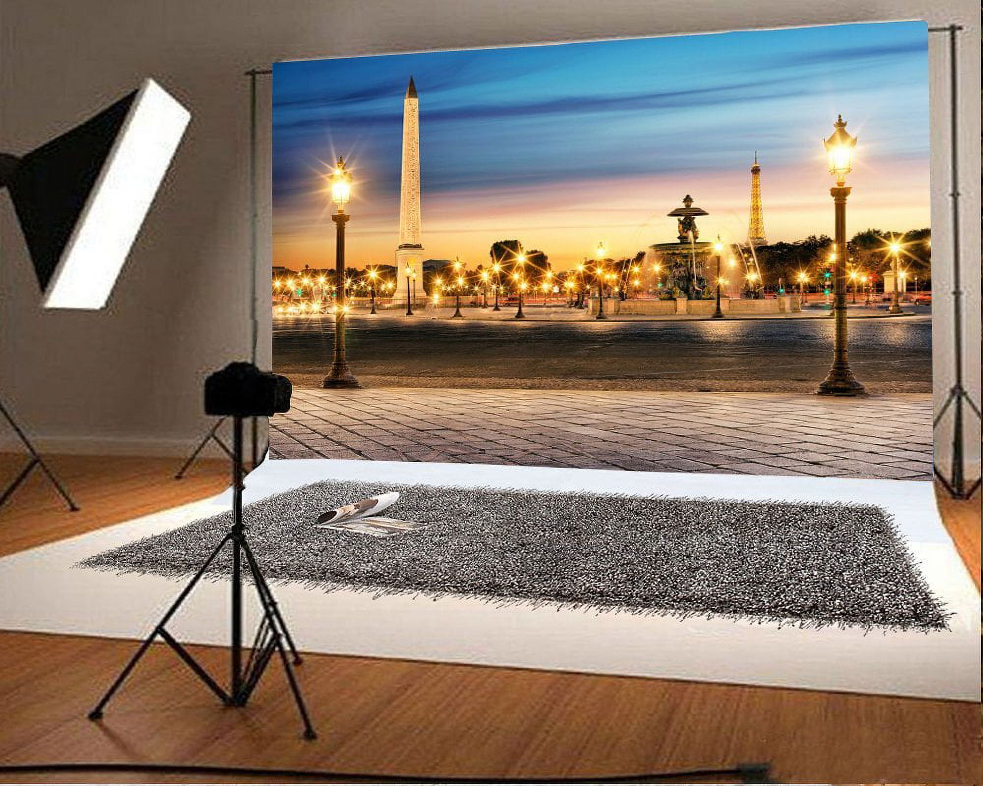 HelloDecor Park Square Backdrop 7x5ft Photography Background Frence ...