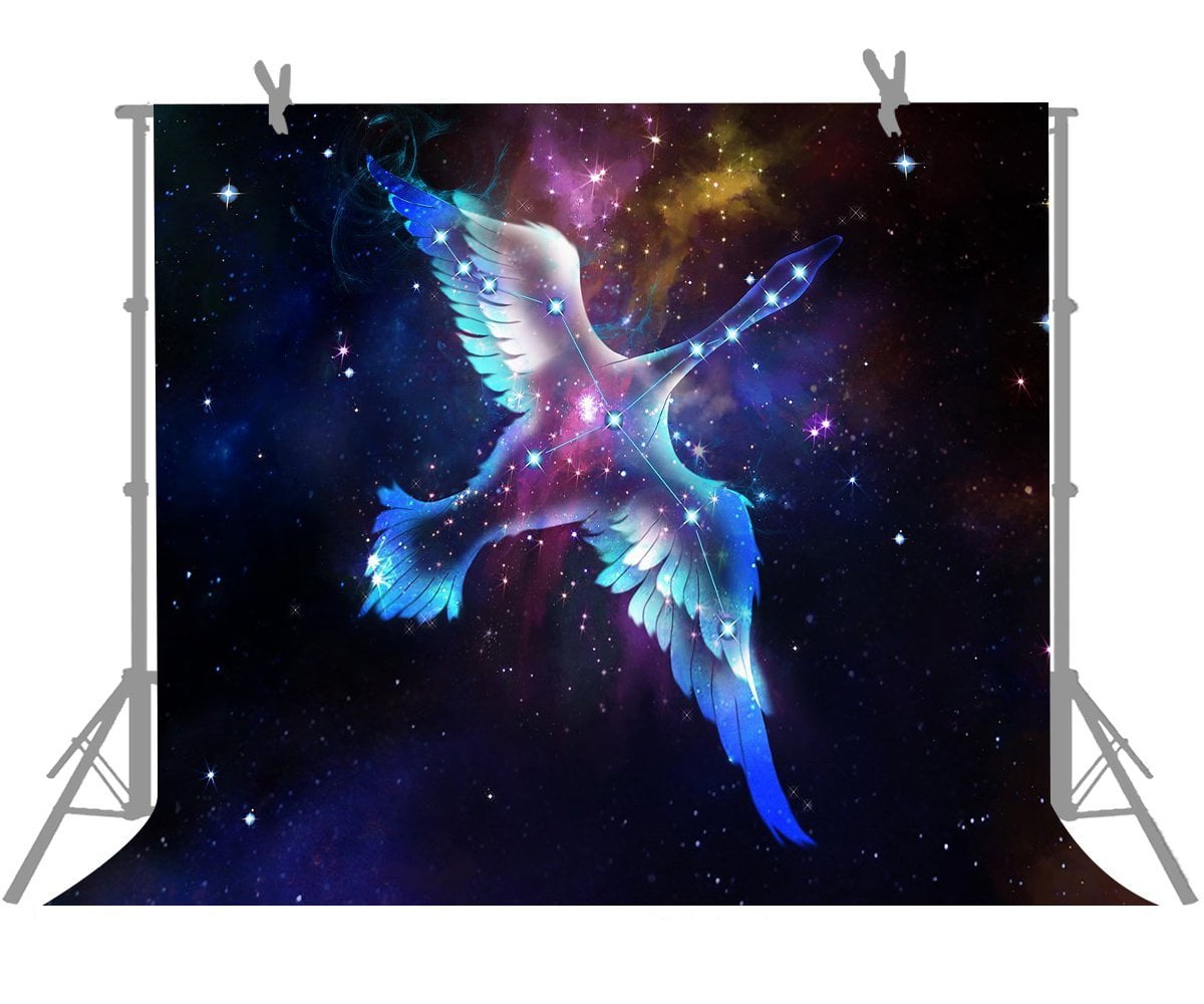 HelloDecor Photo Background 7x5ft Swan Stars Photography Backdrop Props ...