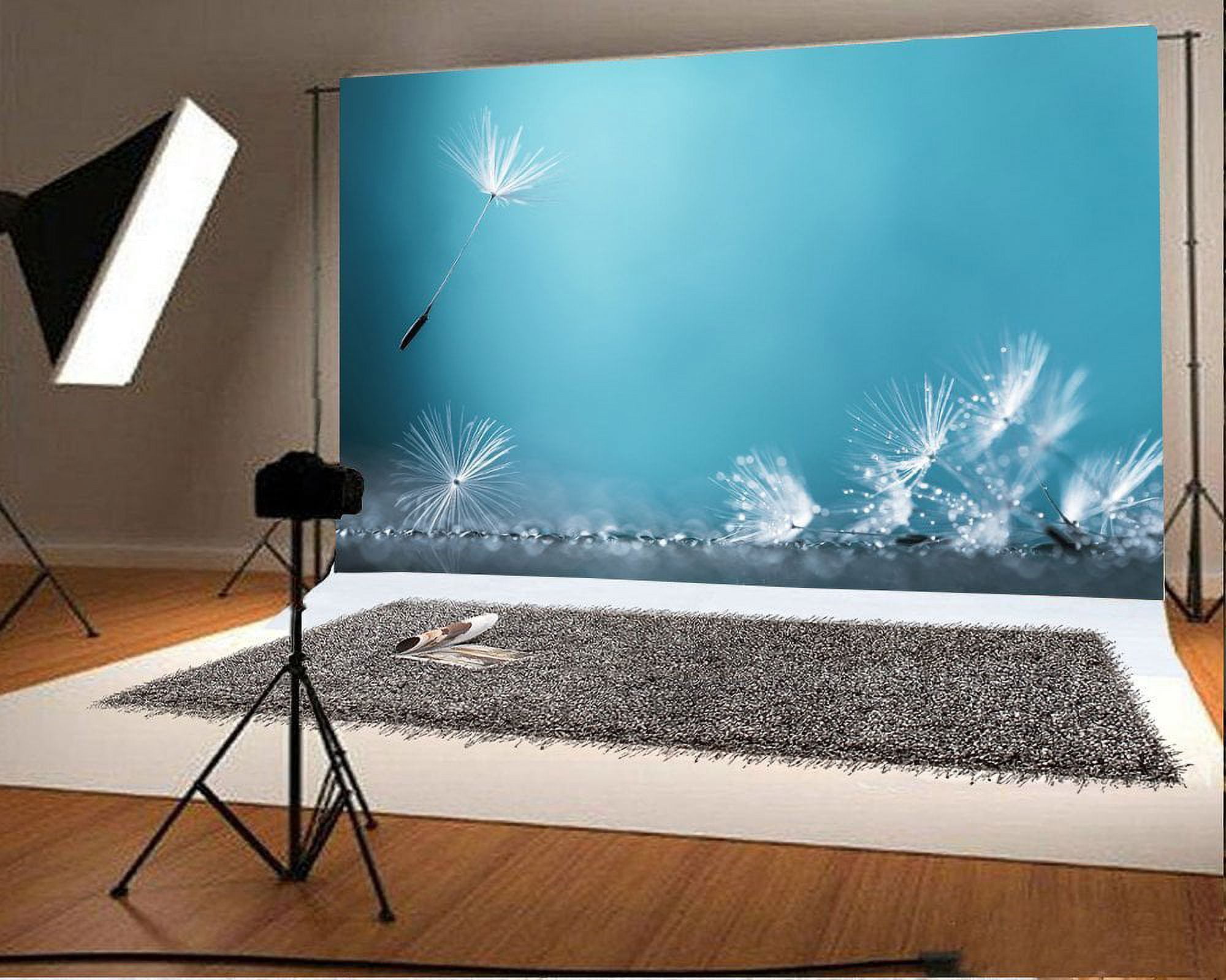 HelloDecor Photography Backdrop 7x5ft Flying Dandelion Blue Texture ...