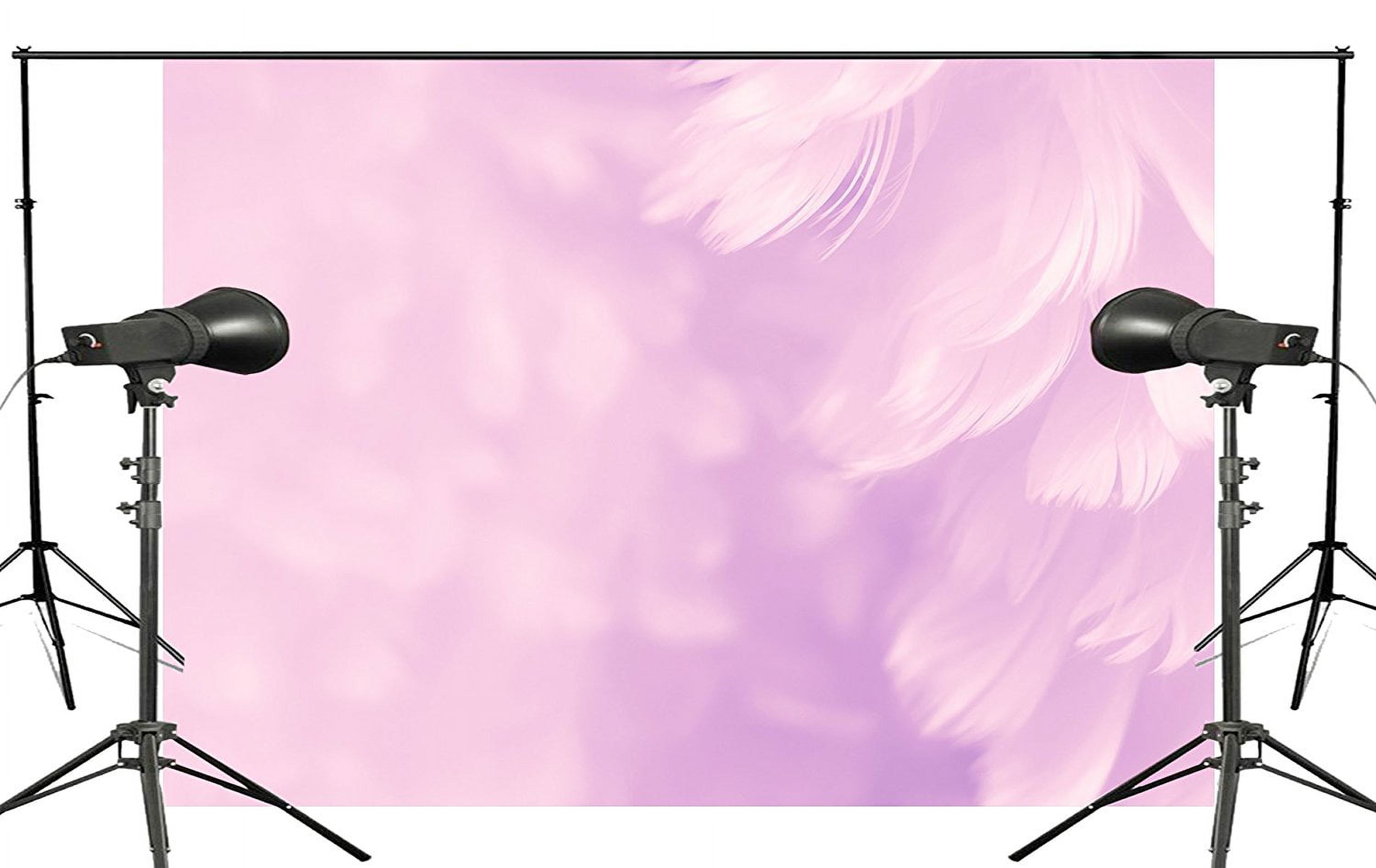 HelloDecor Purple Background Fresh Feathers Photography Backdrop Studio ...