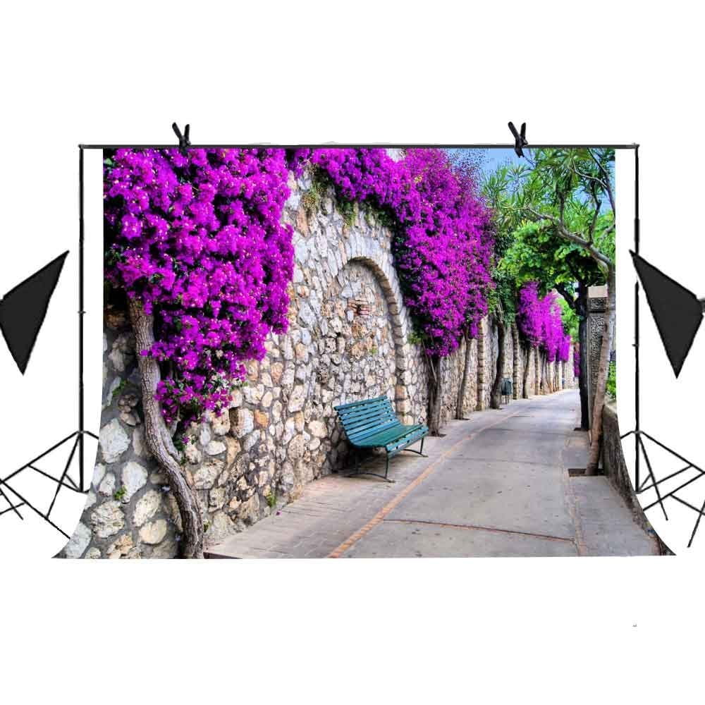 HelloDecor Scenery Backdrop 7x5ft Nature Park Stone Wall Purple Flowers ...