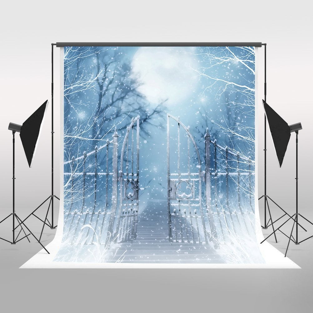 HelloDecor Snow Scenery Photo Background 5x7ft Open Door Moon ...