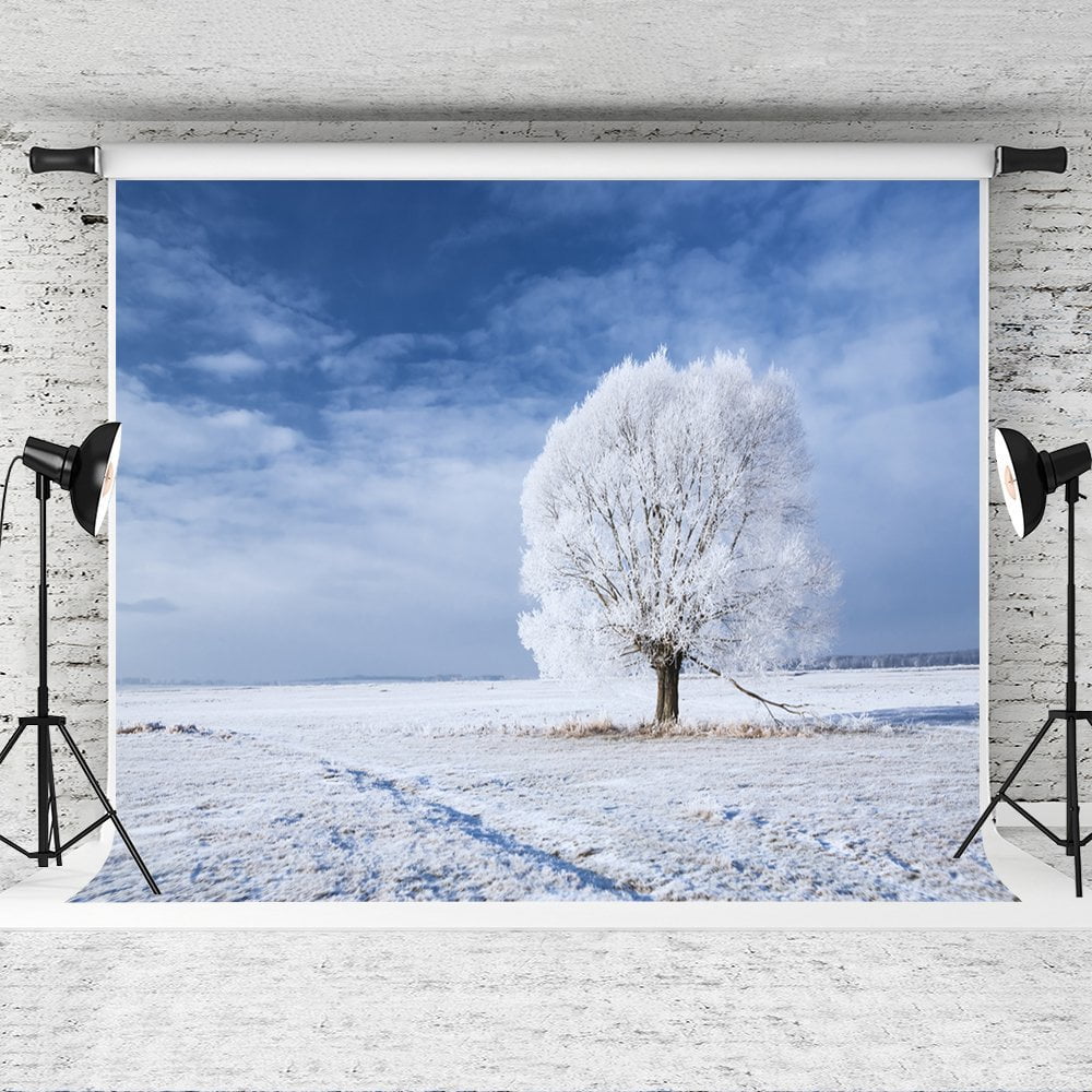 HelloDecor Winter Snow Frozen Photography Backdrop 7x5ft Blue Sky White ...