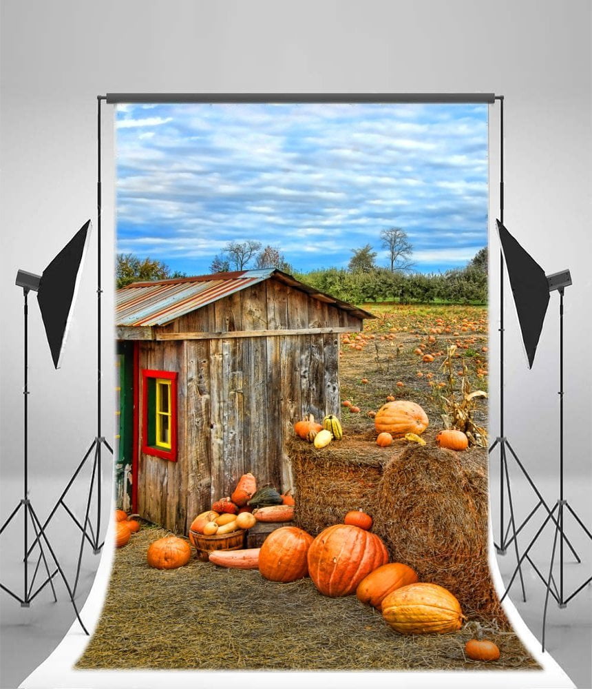HelloDecor Pumpkin Harvest Season Farm Straw Bale Cottage Scenery ...