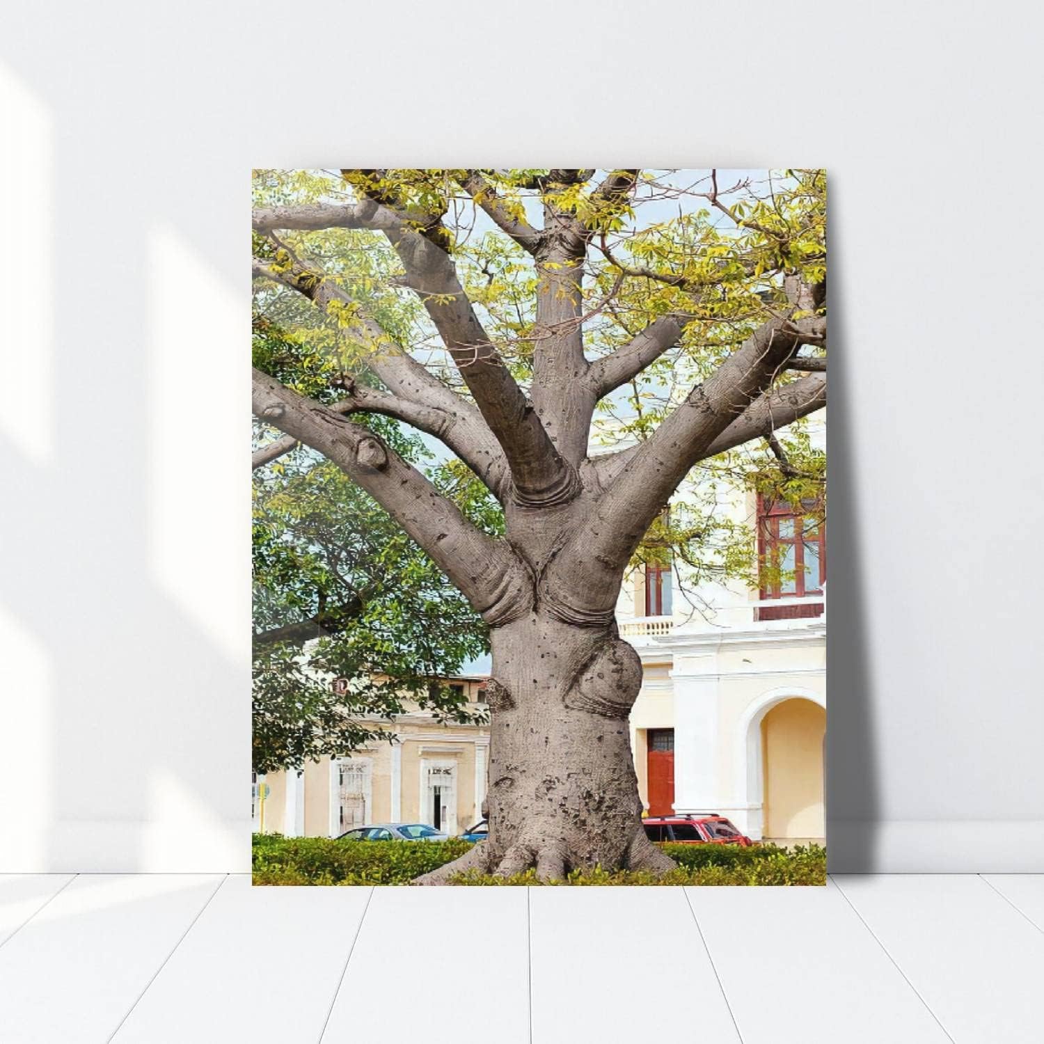 Parvez Taj Sun Flight Pinewood Wall Art - Walmart.com