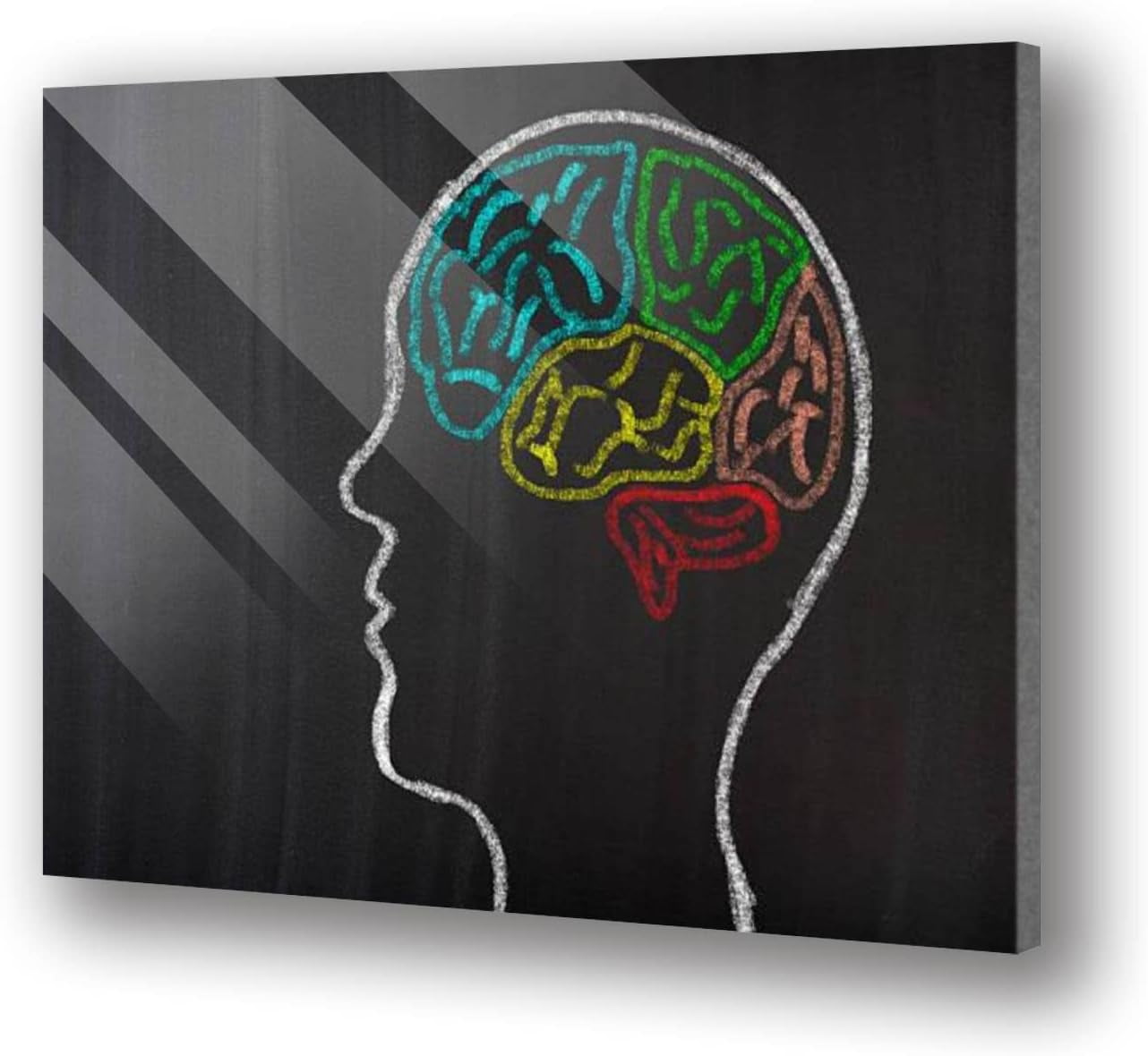 HelloGlass Tempered Glass Wall Art Human Brain Lobes on Blackboard ...