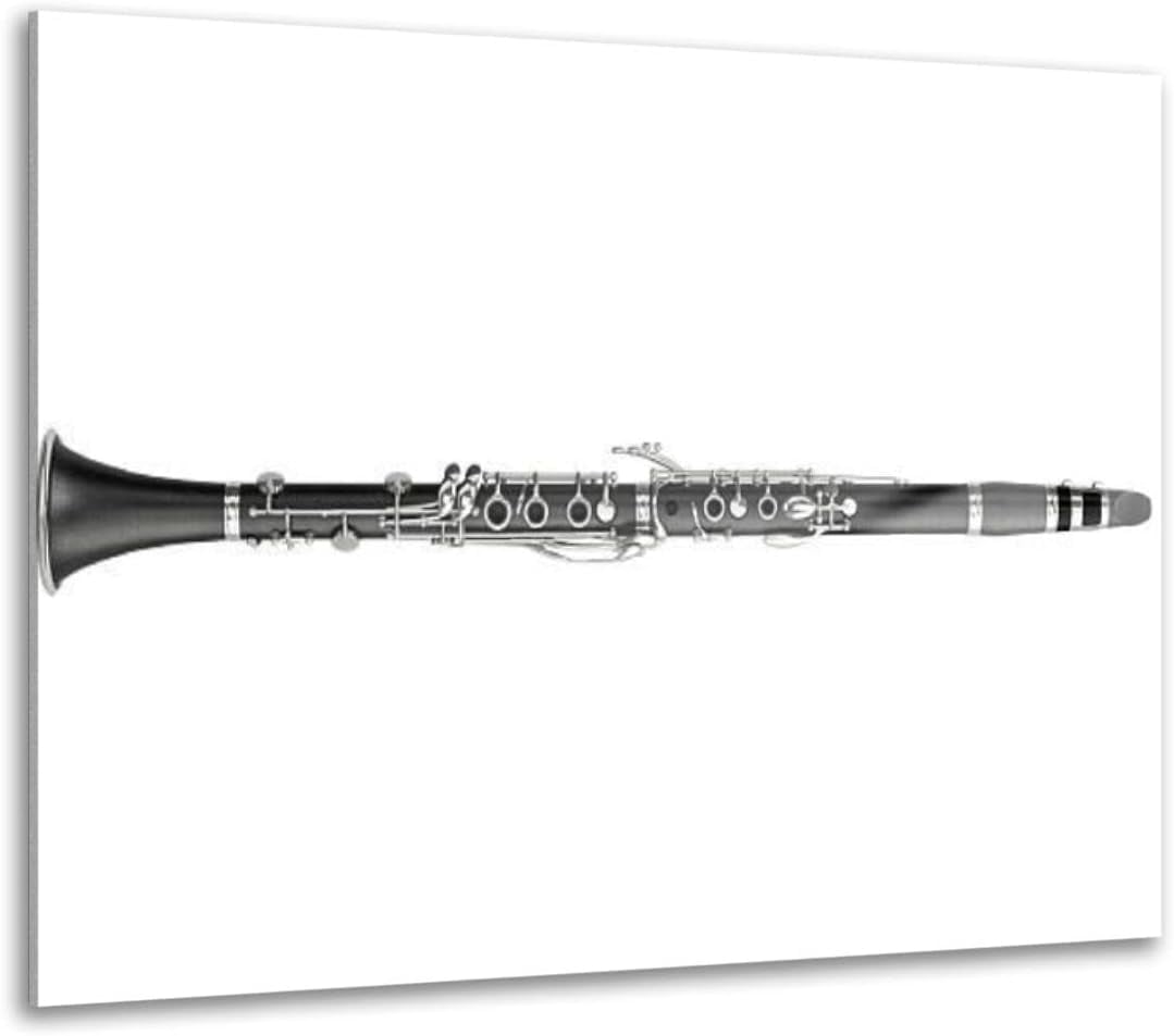 HelloGlass Tempered Glass Wall Art Prints Clarinet classical top view ...