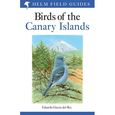 Object Oriented Programming: La guida completa alla programmazione ...