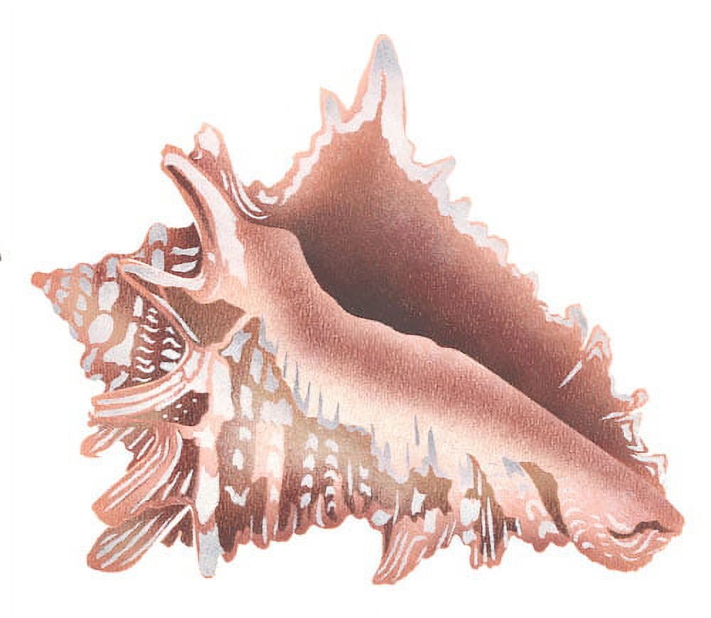 Helmet Vase Shell Wall Stencil - DEE404 by DeeSigns - Walmart.com