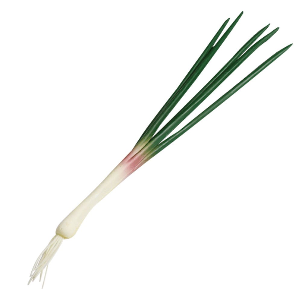 Hemobllo Simulated Scallion Model Lifelike Fake Scallions Veggie Model ...