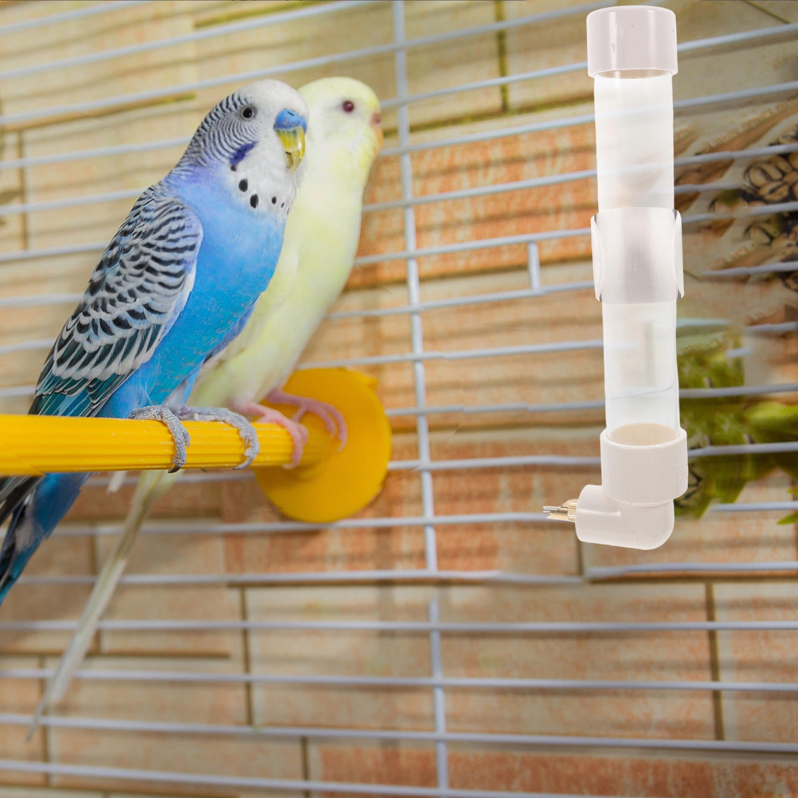 Hemoton 1 Set Automatic Waterer Parrot Cages Accessories Bunny Water ...