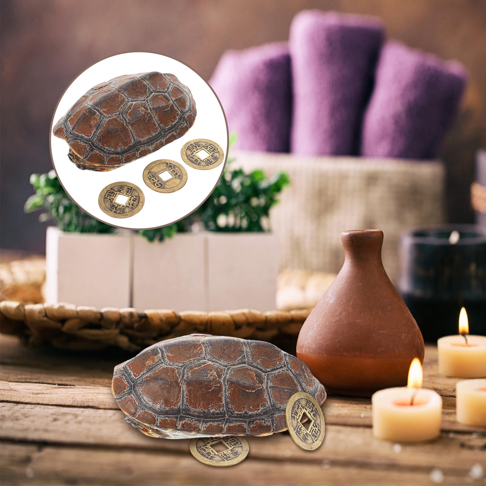 Hemoton 1 Set Indoor Adorn Fortune Divination Game Props Shells For ...