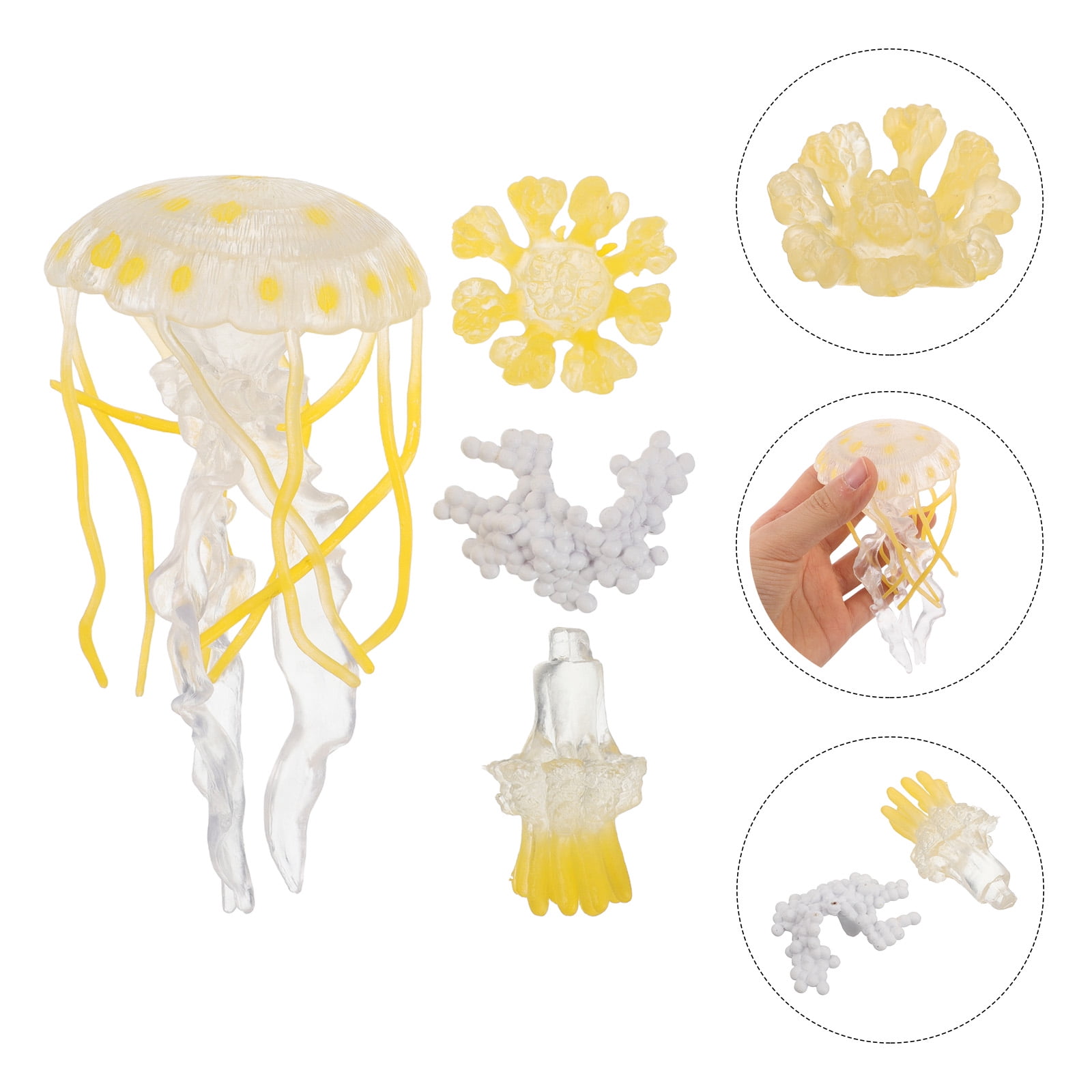 Hemoton 1 Set Marine Animal Models for Kids Life Cycle Learning and ...