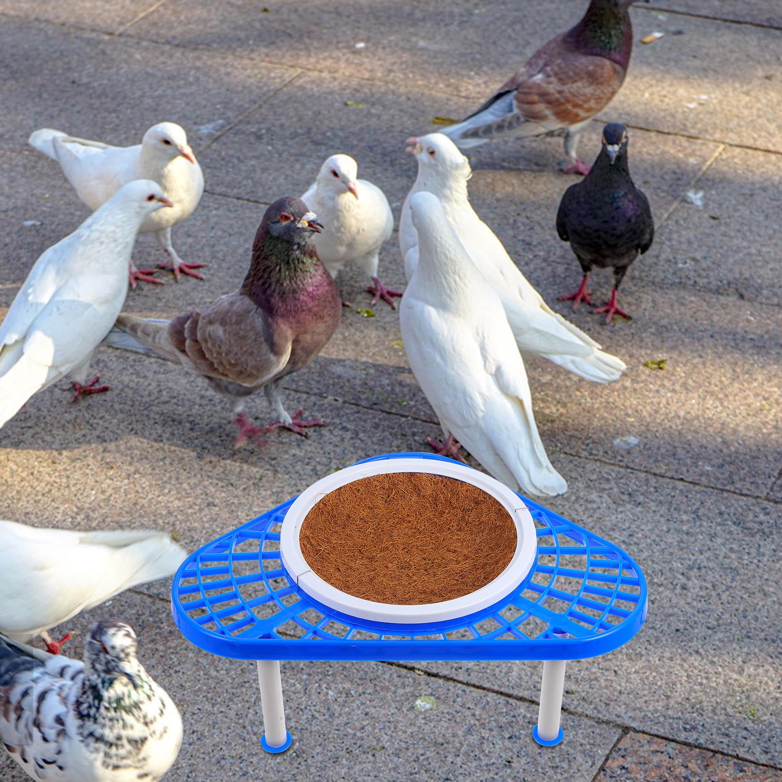 Hemoton 1 Set Pigeon Nest Rack Support Holder Triangle Nest Frame ...