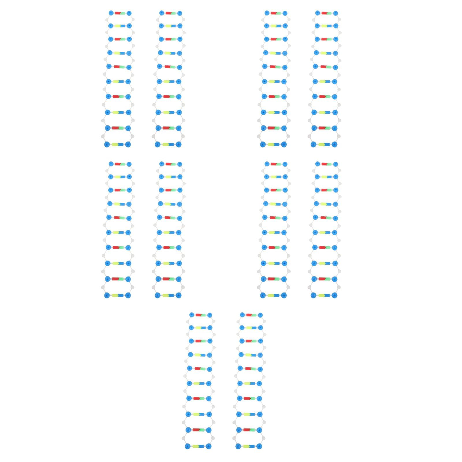 Hemoton 10 pcs Dna Model Kit Double Helix Structure Dna Models Science ...