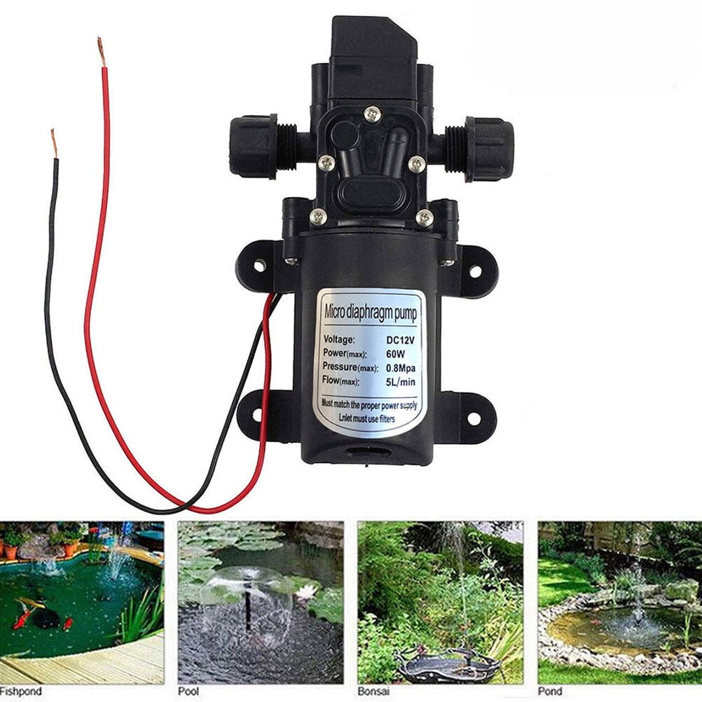 HEMOTON 12V 60W Mini Electric Diaphragm Pump for Car Washing Water Pump ...