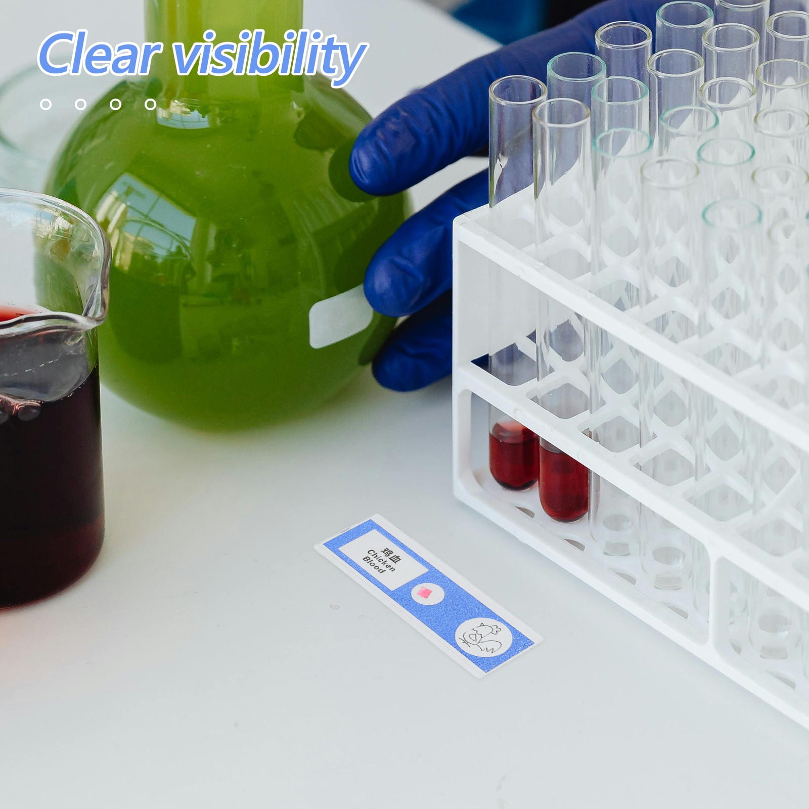 Hemoton 12pcs Prepared Microscope Slides For Kids Adults Samples ...