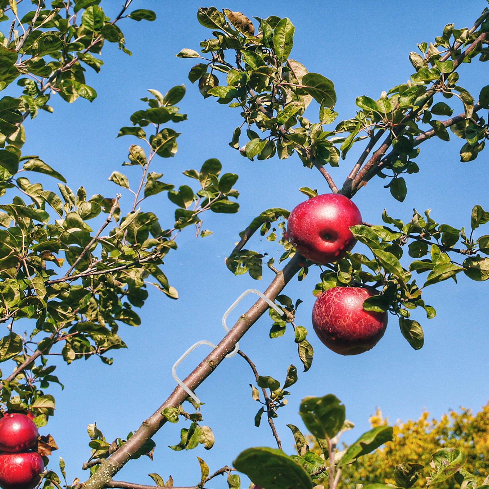 Hemoton 14pcs Branches Shaping Tool Tree Puller Metal Tools Branch ...