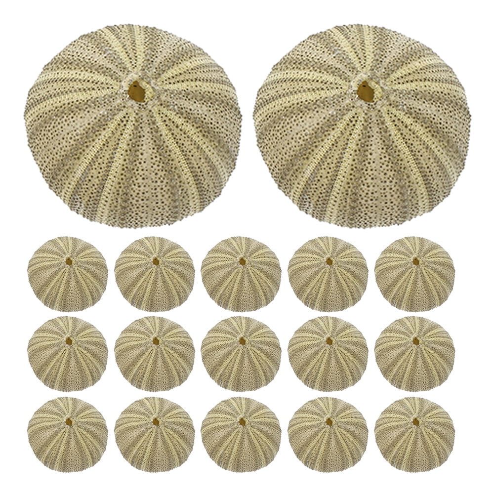Hemoton 18pcs Sea Urchin Shells For Vase Filler Diy Craft Aquarium ...