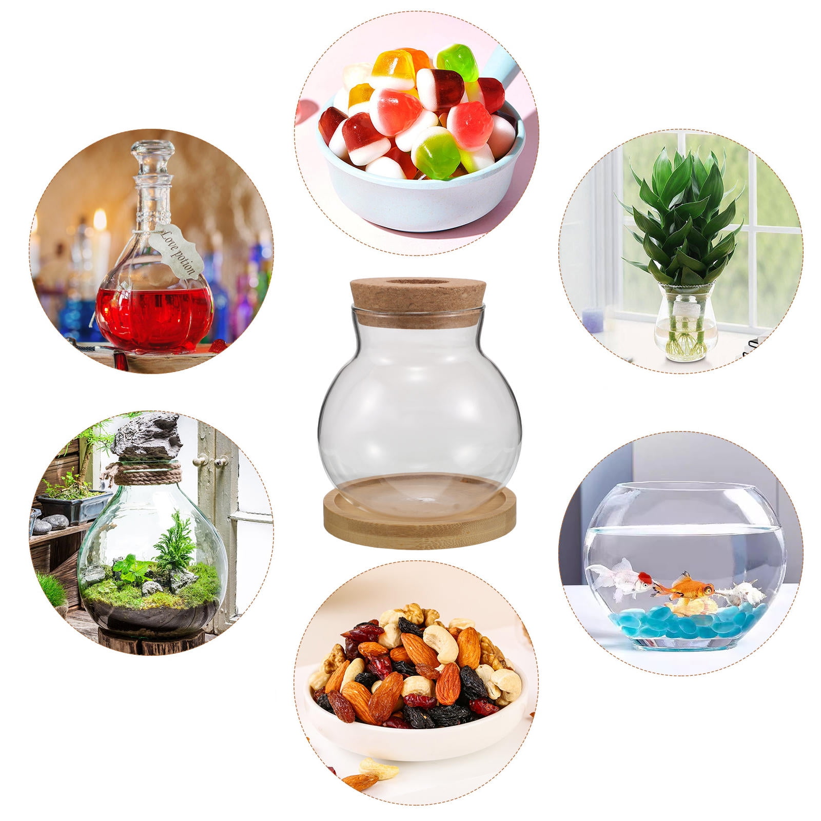 Hemoton 2 Sets Plants Propagation Stations Desktop Glass Flower Vase ...