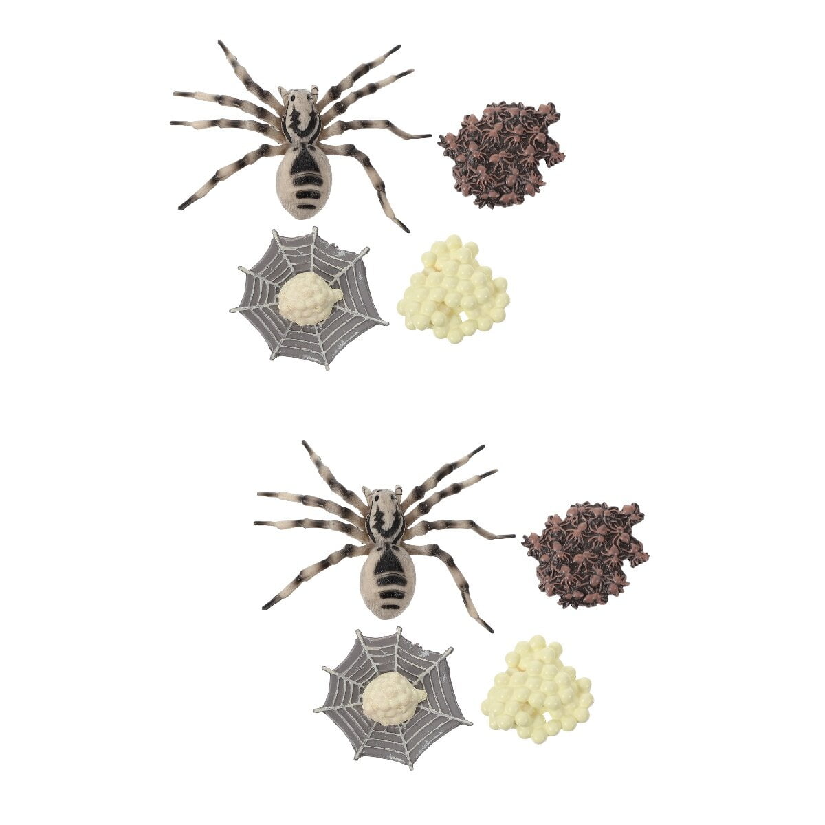 Hytrove Educational Plastic Tarantula Evolution Model 2 Sets For ...