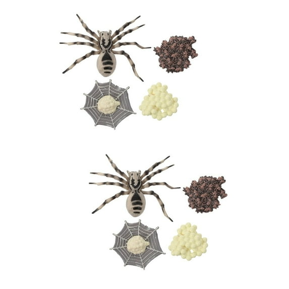 Hytrove Educational Plastic Tarantula Evolution Model 2 Sets For ...