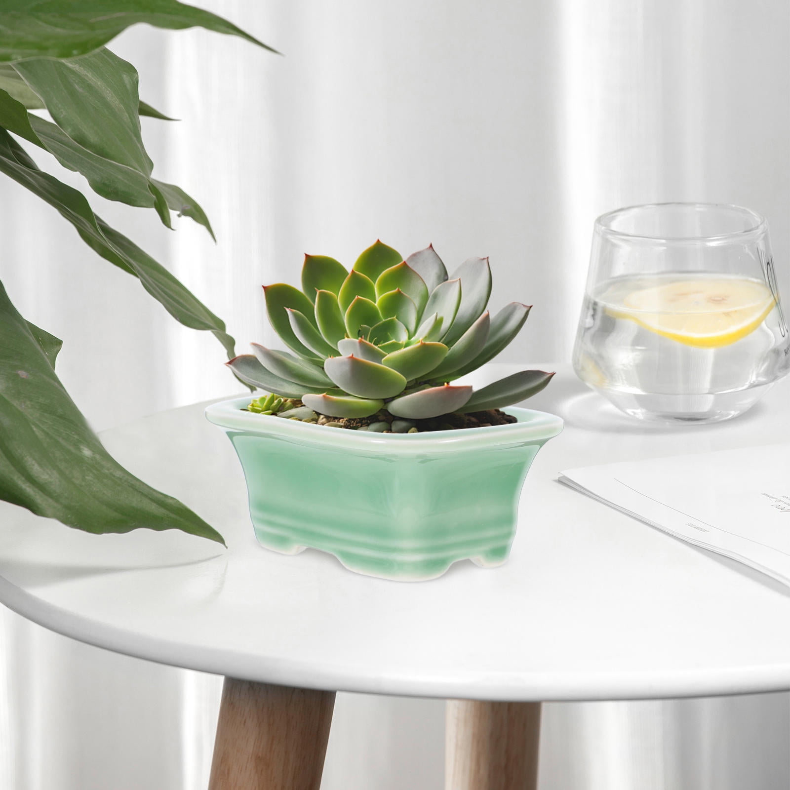 Hemoton 2pcs Ceramic Planter Mini Planters for Succulents Bonsai Small ...