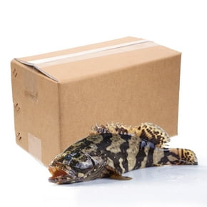 Insulated Shipping Boxes