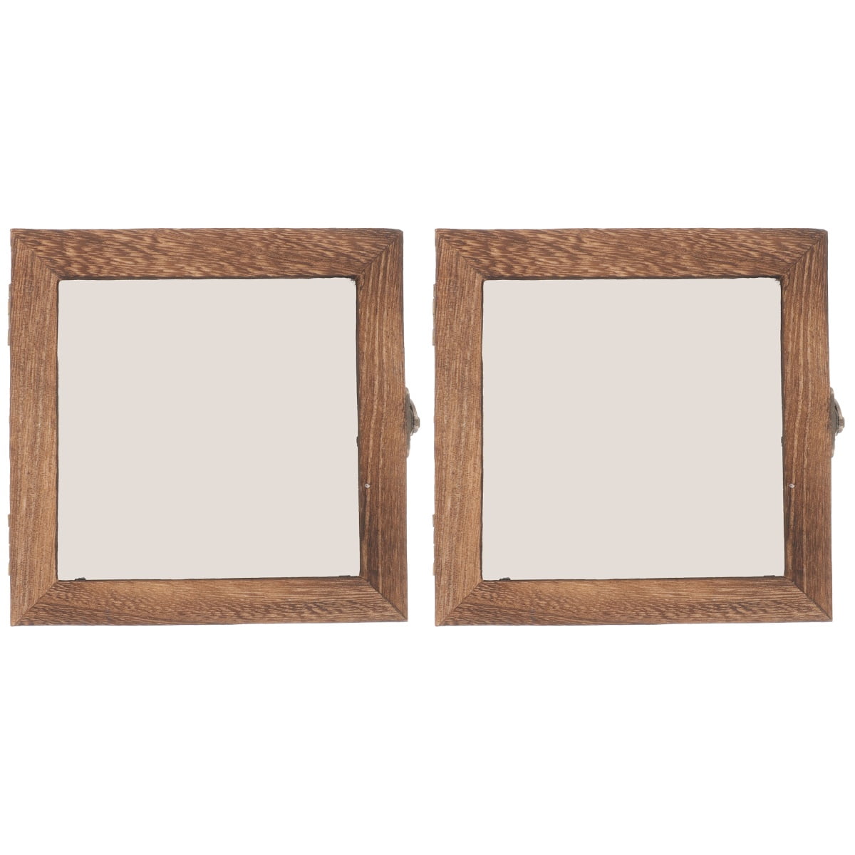 Hemoton 2pcs Specimen Display Case Wooden Specimen Collection Box Dried ...