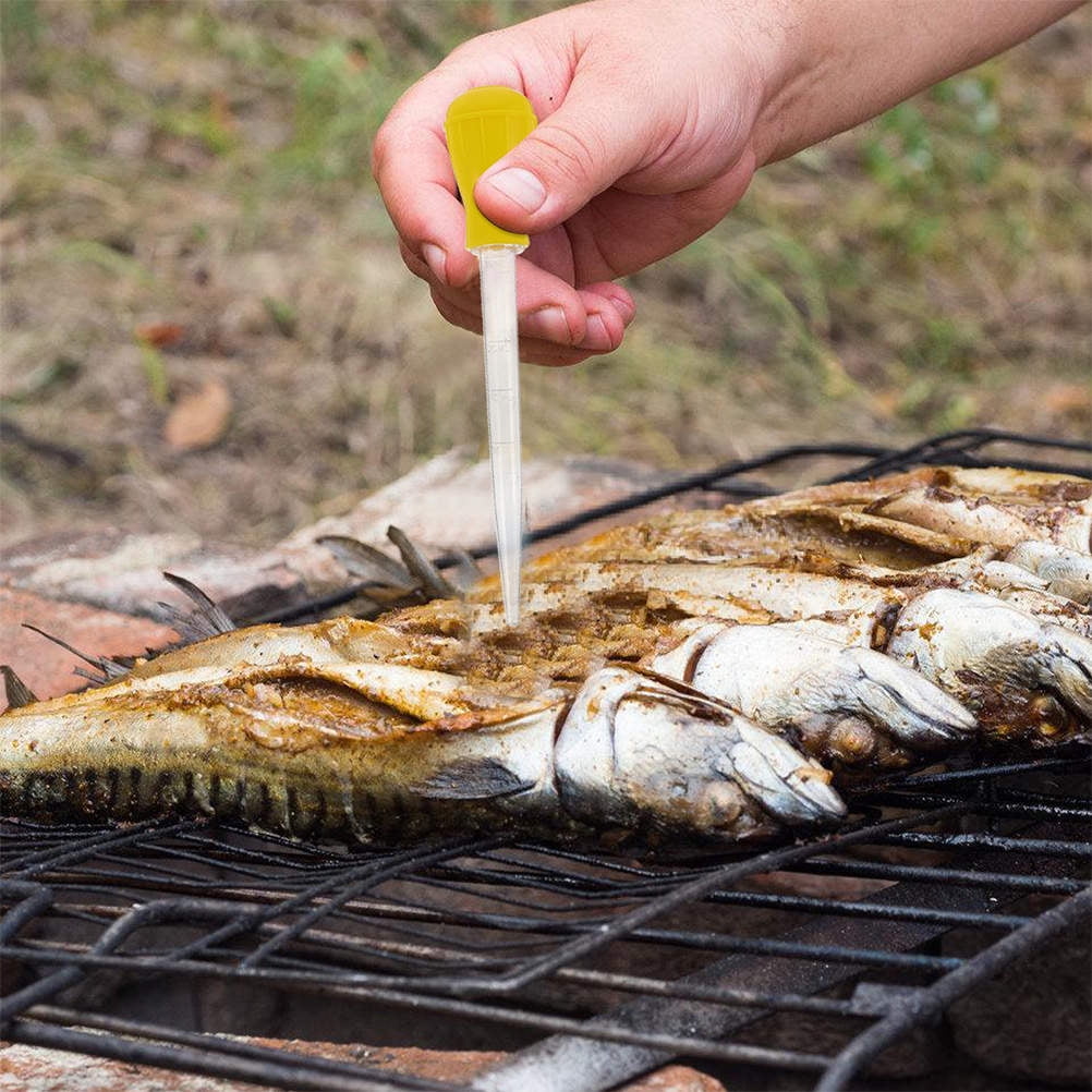 Hemoton 2pcs Turkey Baster Injector Meat Baster Meat Marinade Injector ...