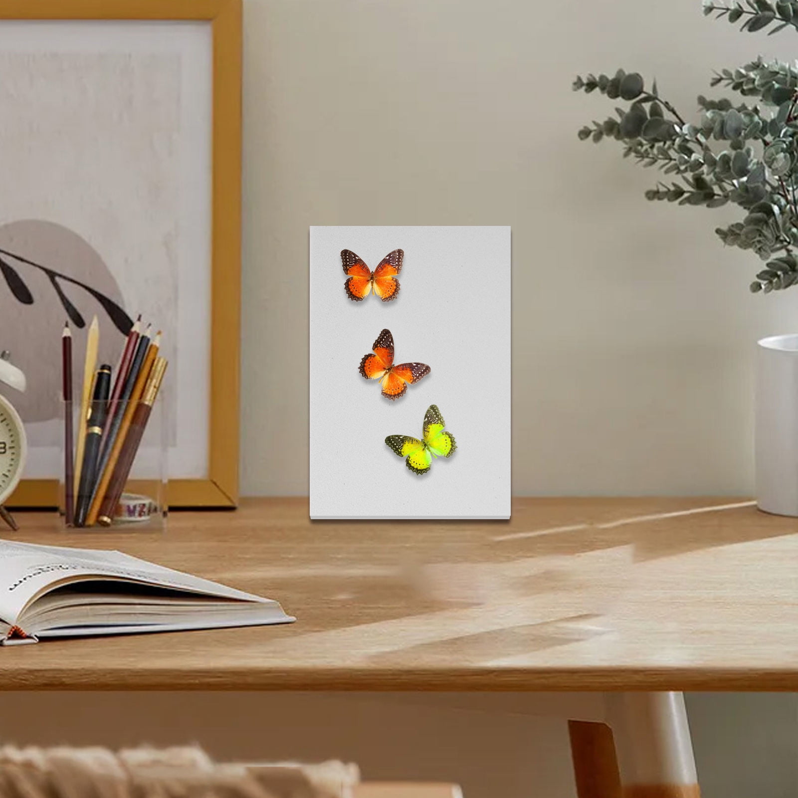 Hemoton 3pcs Insect Pinning Board Kit For Beginners Butterfly Specimen ...