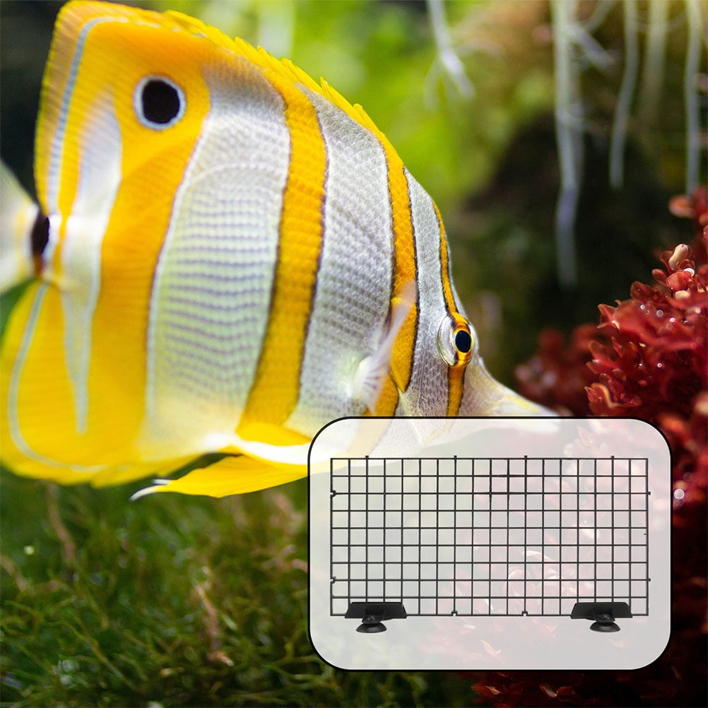 Hemoton 4 Sets Fish Tank Divider Plastic Egg Crate Aquarium Filter ...