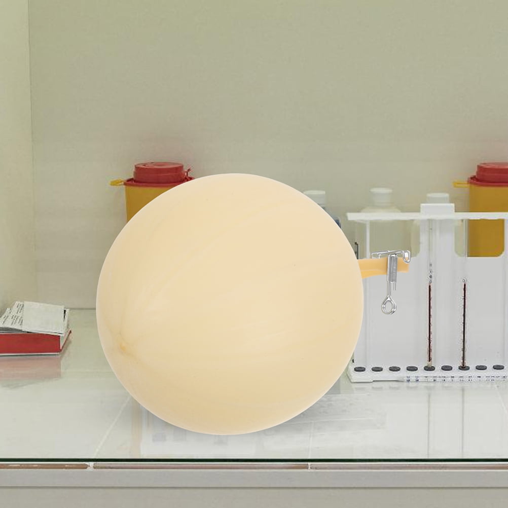 Hemoton 4pcs Sampling Gas Bladder Gas Bladder Lab Laboratory Gas ...