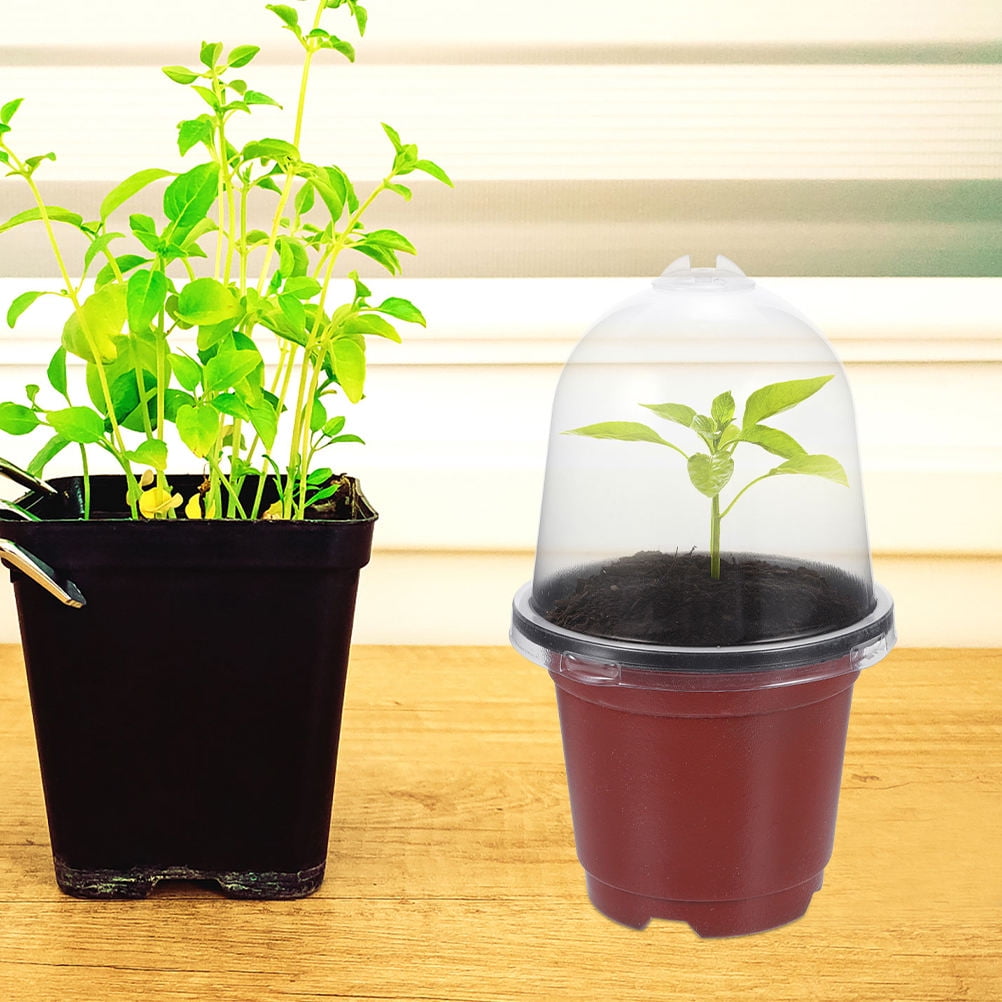 Hemoton 5pcs Planter With Humidity Dome Plastic Nursery Pots Small ...