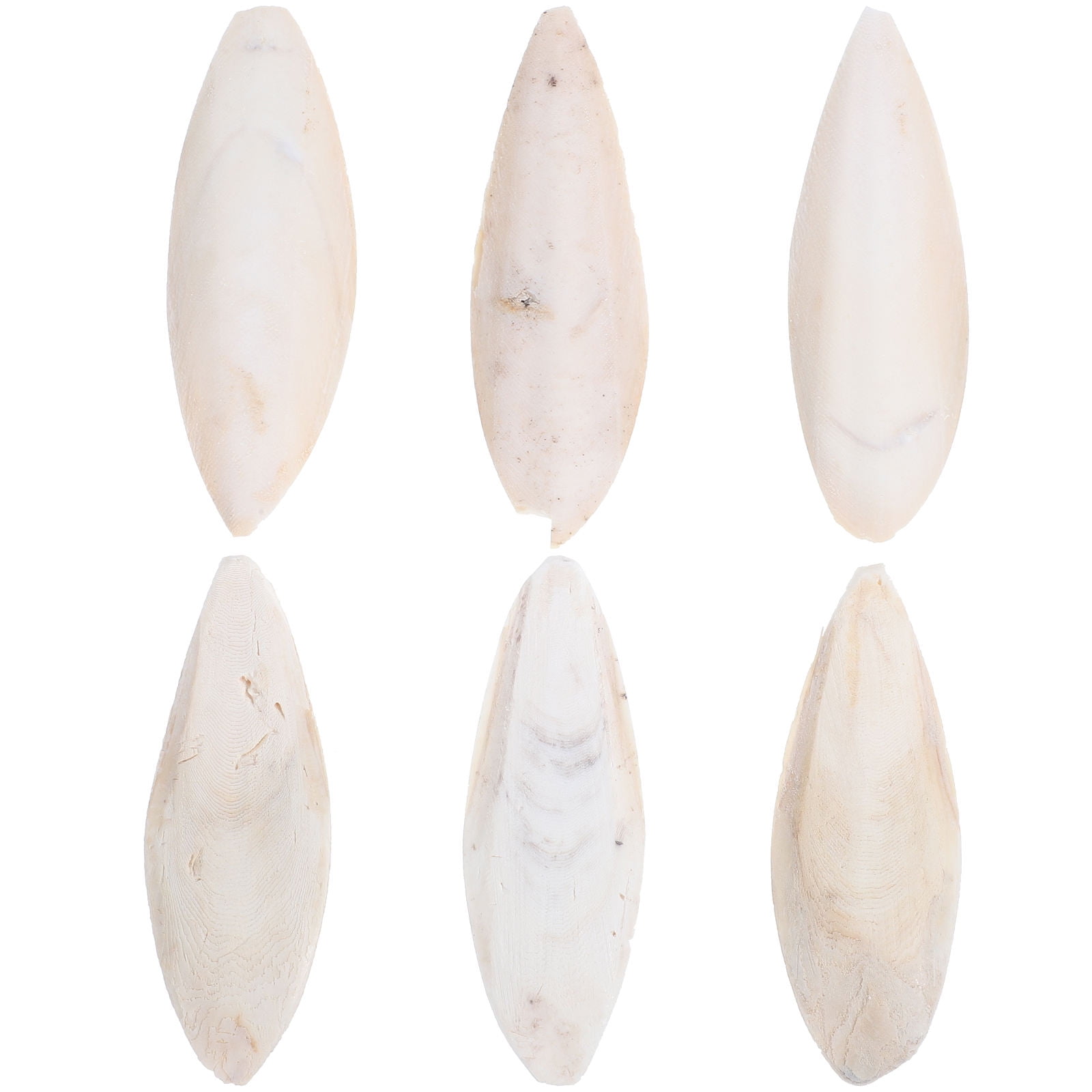 Hemoton 6 Pcs Cuttlefish Cockatiels Cuttlebone 13.00X6.00X1.00CM ...