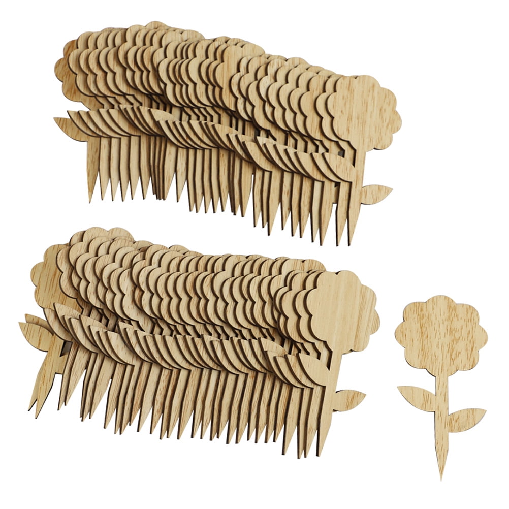 Hemoton 60 Pcs Gardening Succulent Card Plant Sign Tag Stakes Planters ...