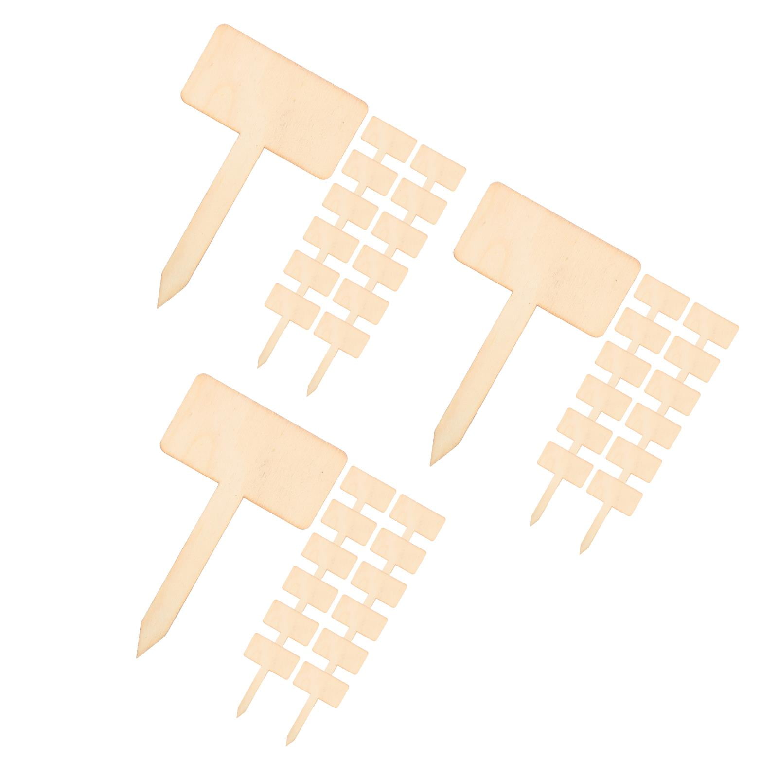 Hemoton 60 pcs Plant Label Stakes Tree Tags Plant Markers For Outdoor ...